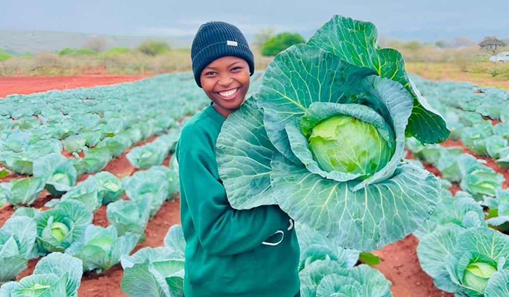 Agricultural Internships