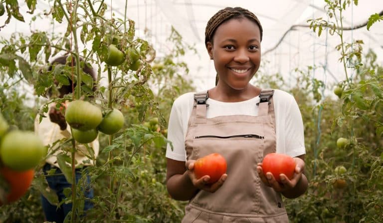 Agricultural Internships