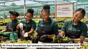 Mr Price Foundation Agri-preneurs Development Programme 2026 Opens For ...